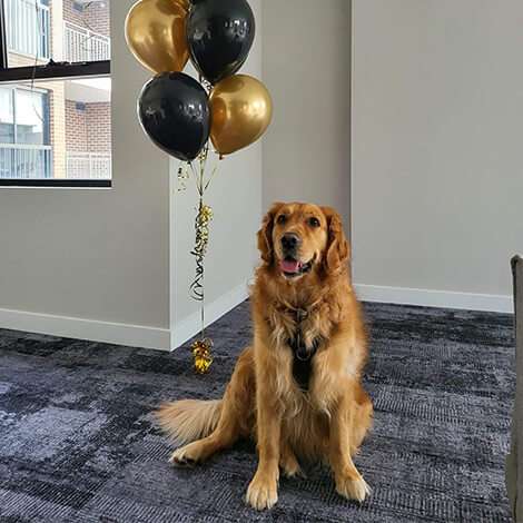 Newtown | Grace Healey Property